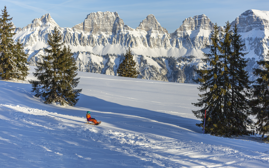 Sledging on Flumserberg | Bergbahnen Flumserberg AG